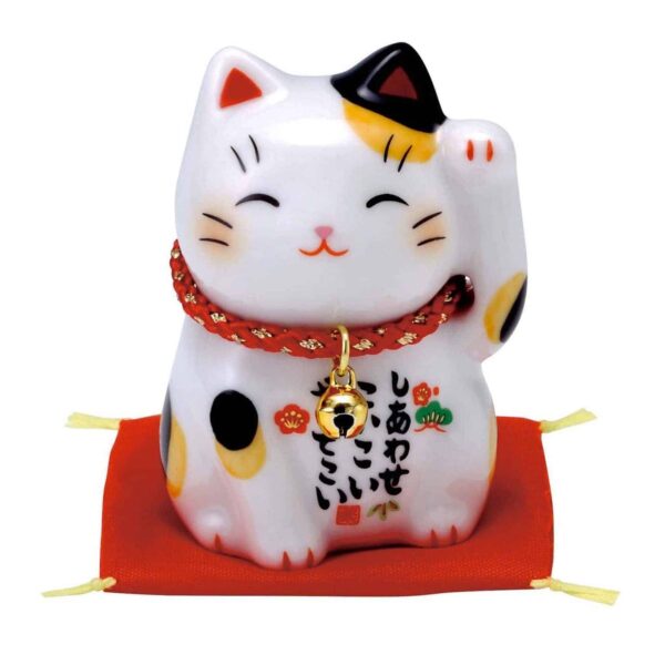 Feline 411: All About Calico Cats