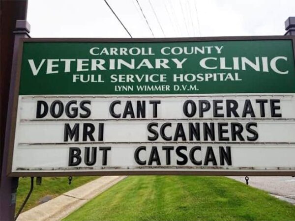 Hilarious Vet Signs Honoring Our Feline Friends