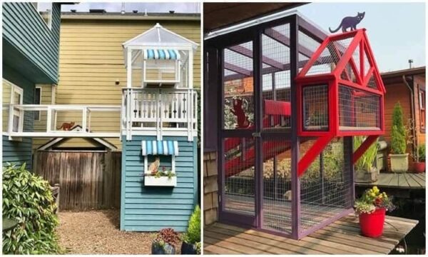 A Collection Of Epic Catios Plus Tips On How To Build Your Own