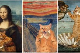 The Siamese Cat: A Journey through its History