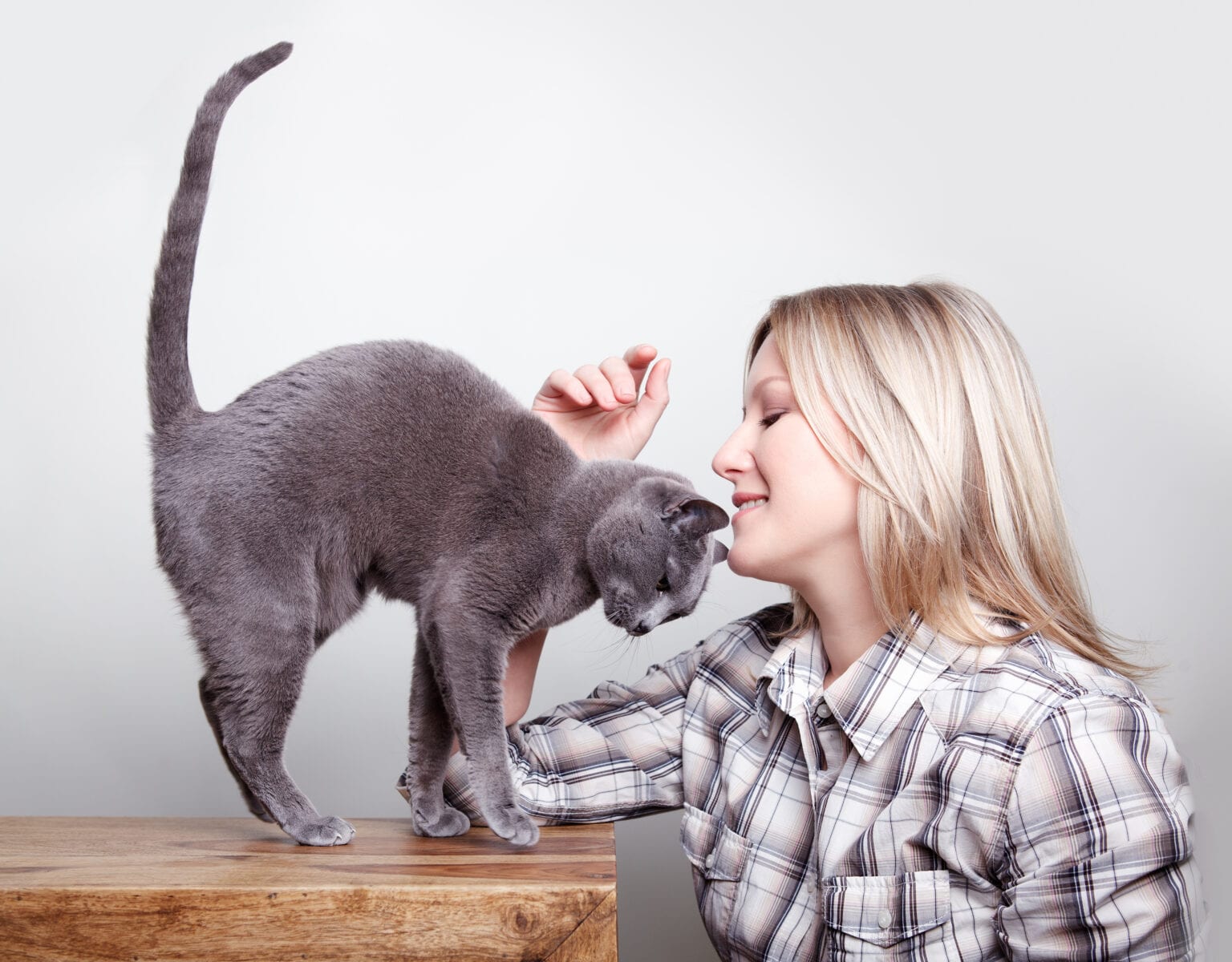Research Suggests That Cats See Humans As Giant Cats Who Can't Hunt