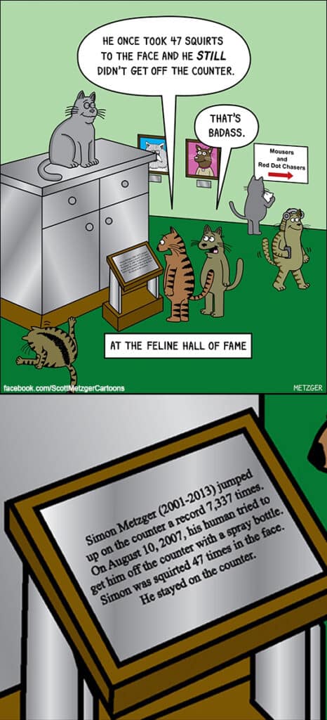 Meet The Brilliant Mind Behind Scott Metzger Cartoons