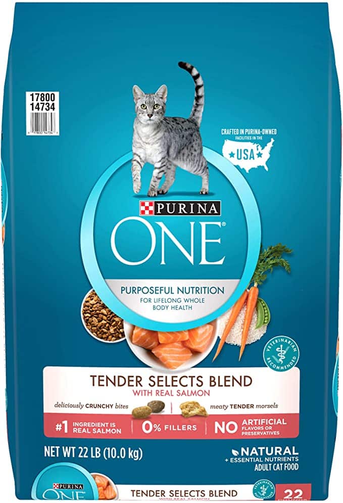 Purina Cat Food Review What You Should Know Purina Cat Food Review What You Should Know