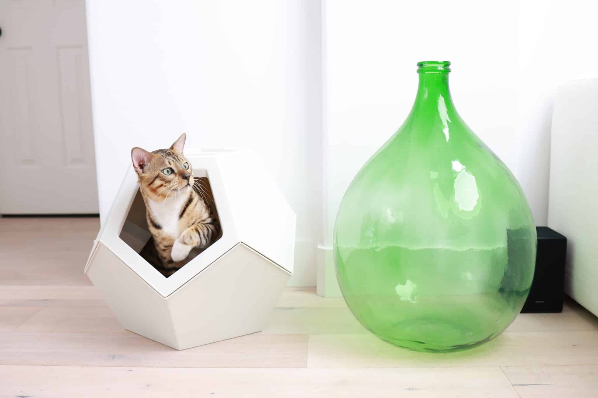 Introducing the Pet Object: A Litter Box That’s Both Functional & Modern