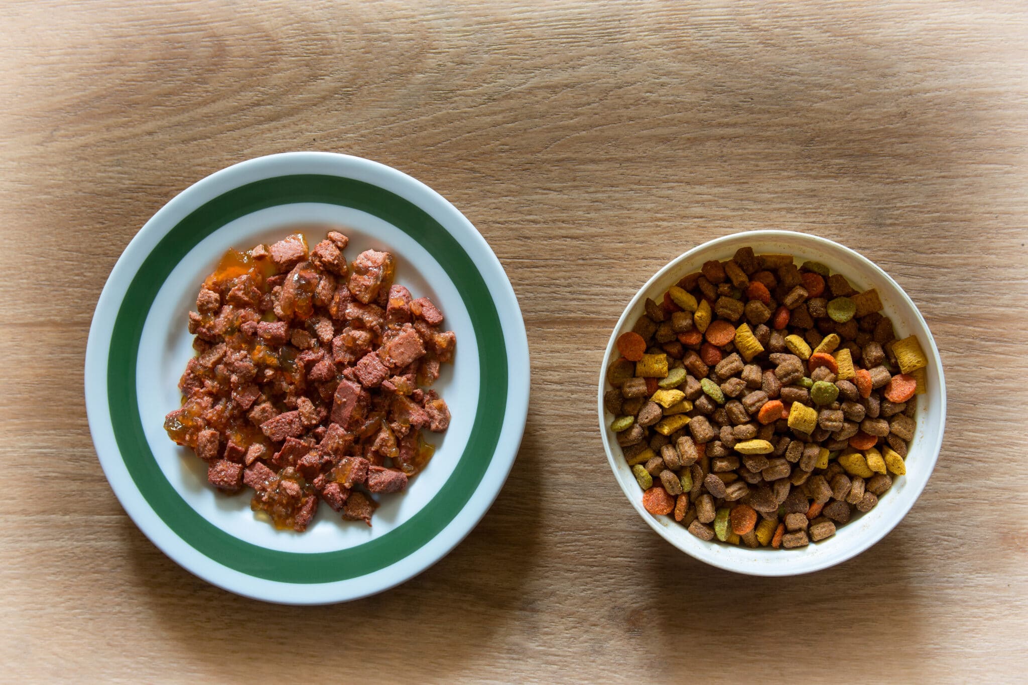 From Wet to Dry: How To Choose the Best Cat Food