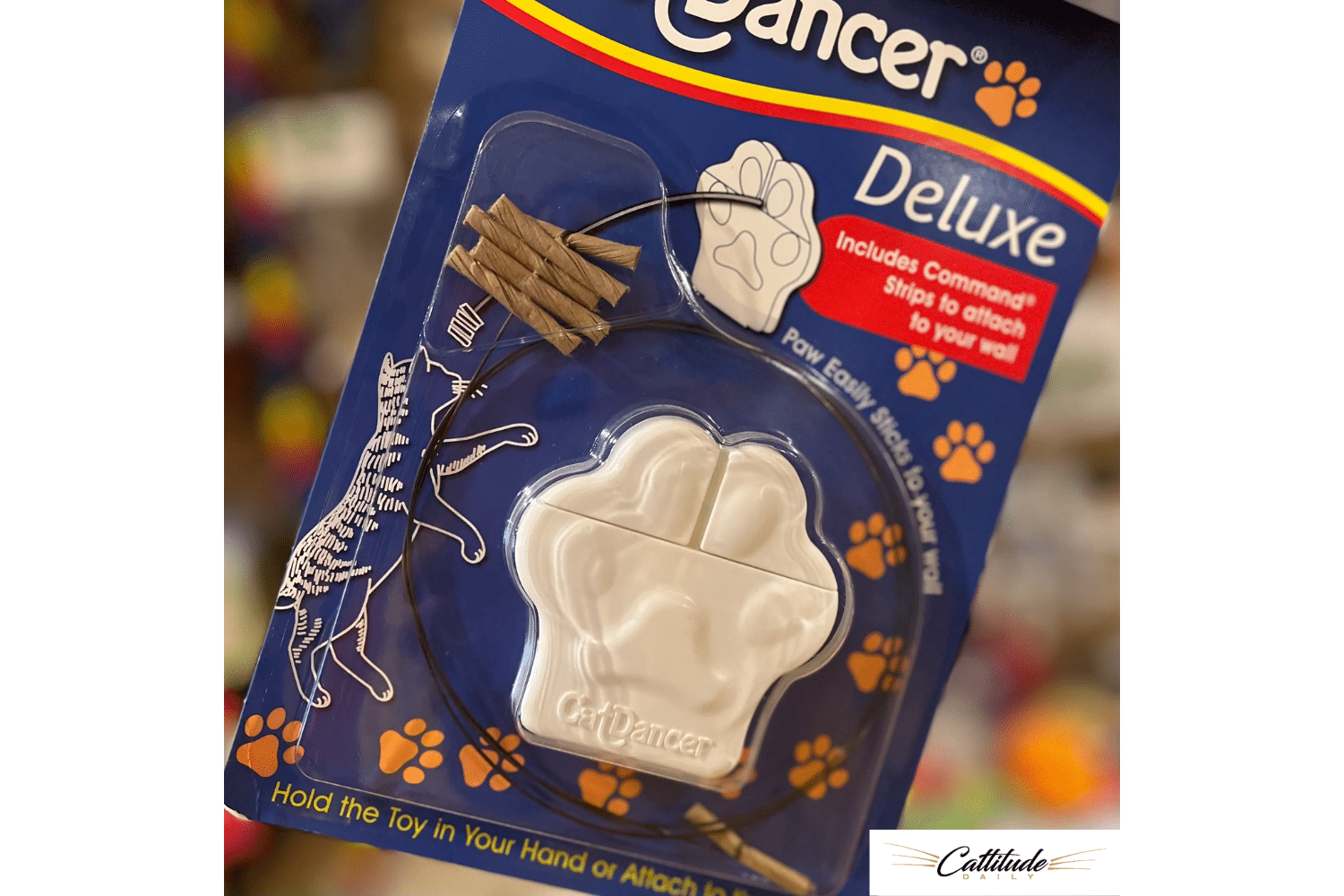 Toys for Senior Cats: 5 Age-Appropriate Options