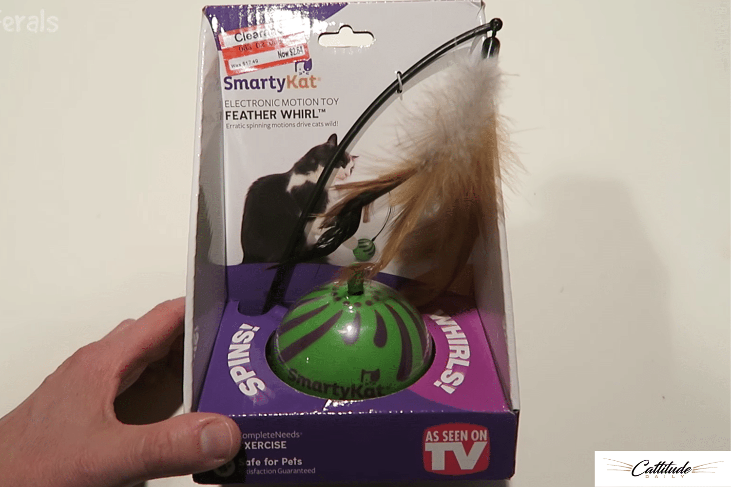 Toys for Senior Cats: 5 Age-Appropriate Options