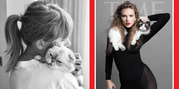 Meet Taylor Swift's Cats: Meredith Grey, Olivia Benson, & Benjamin Button