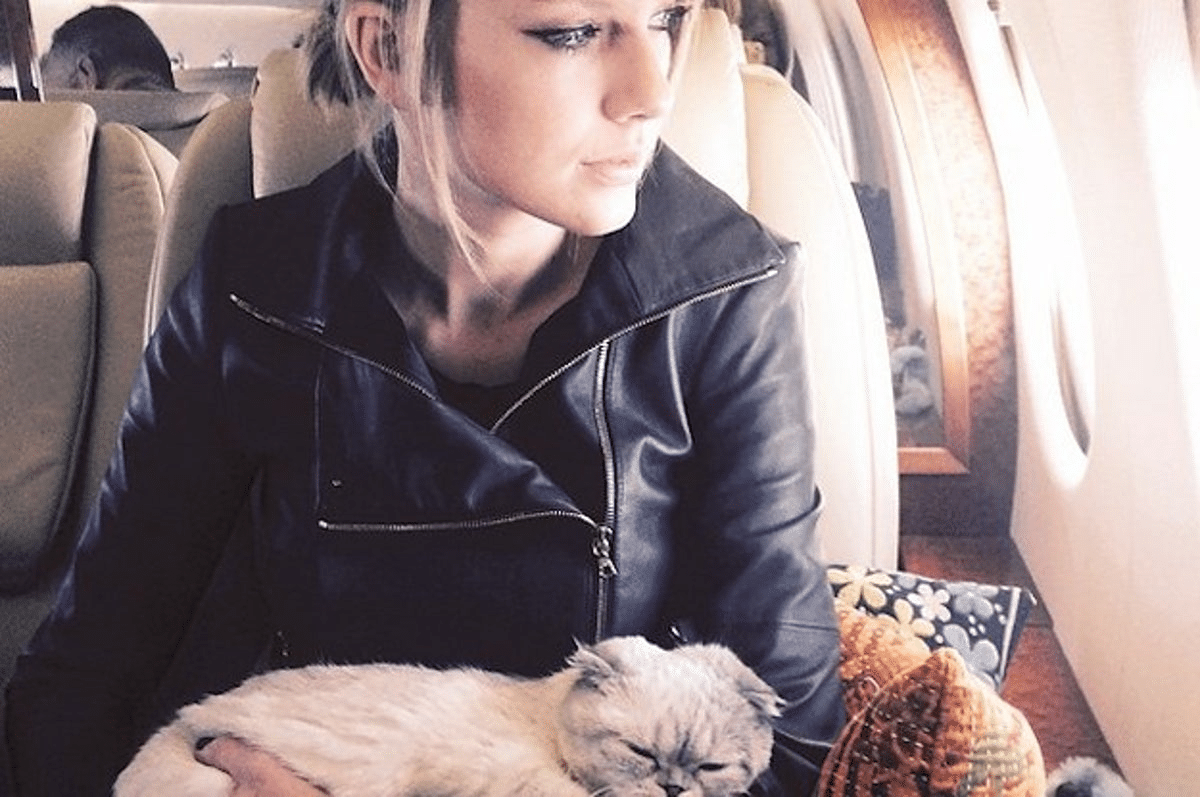 Meet Taylor Swift's Cats: Meredith Grey, Olivia Benson, & Benjamin Button